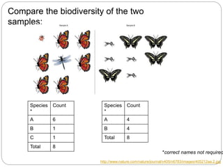 C4 conservation of biodiversity | PPTX