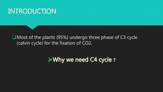 C4 cycle.. | PPTX