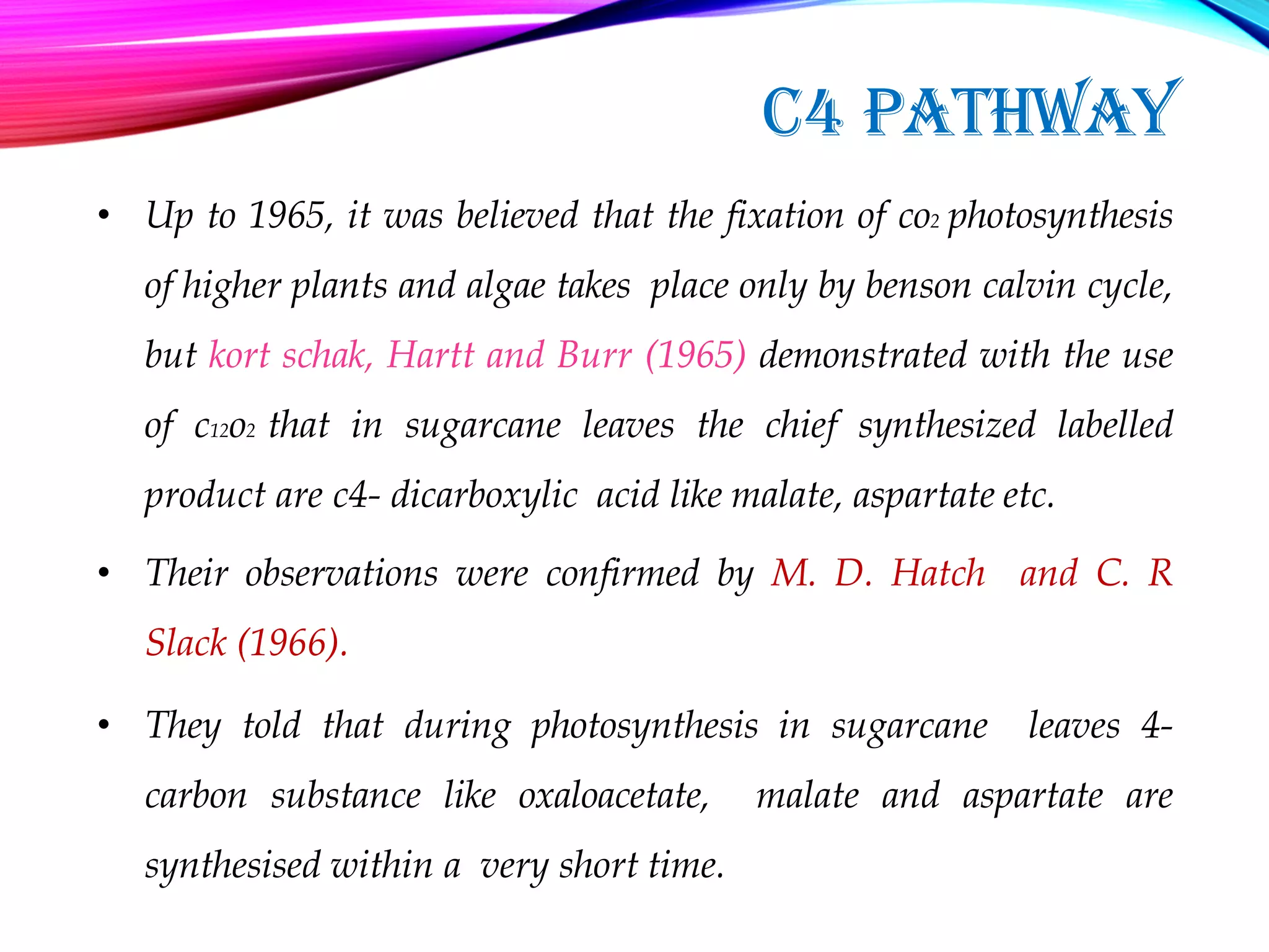 C4 Pathway | PDF