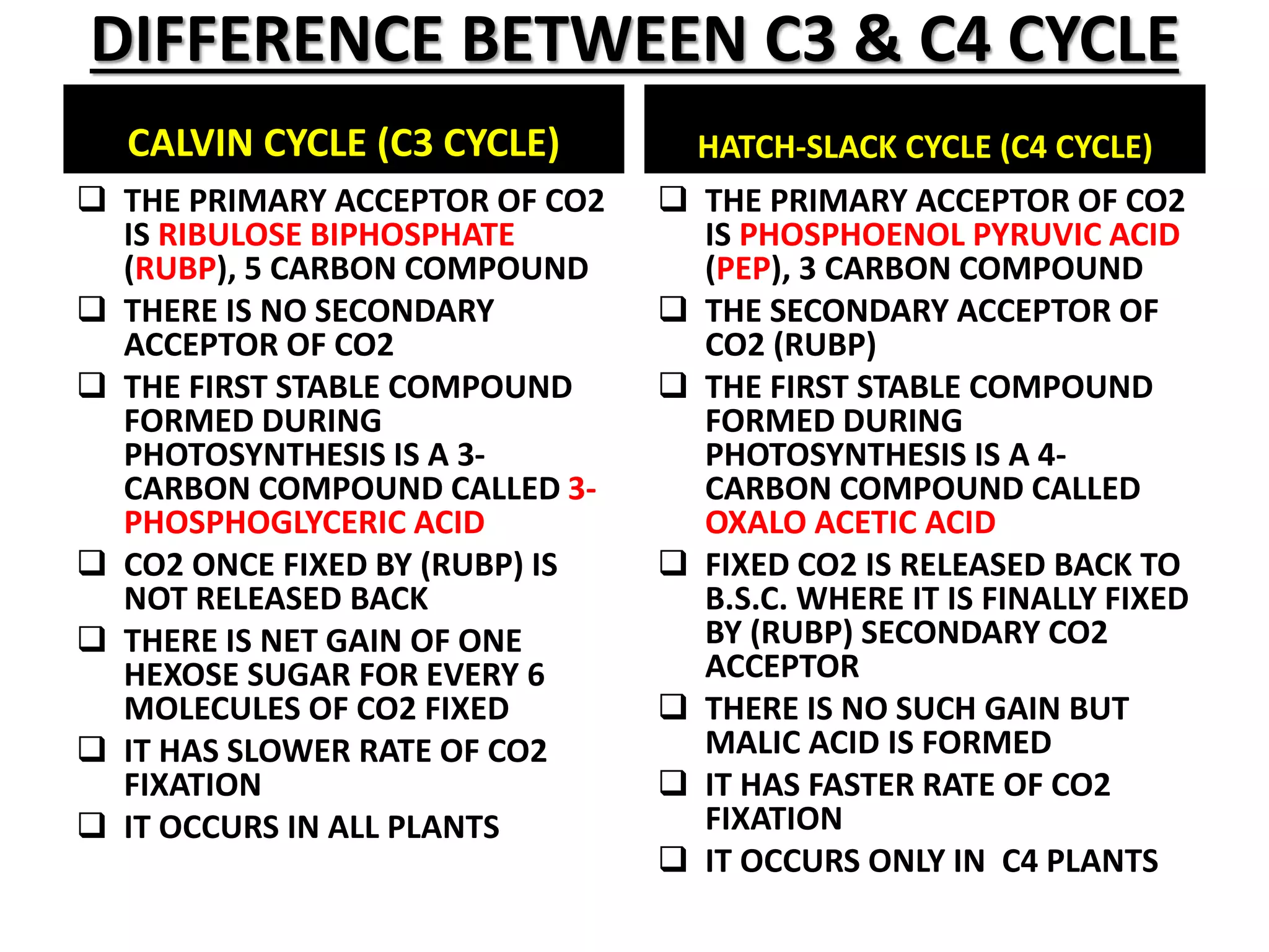 C4 CYCLE.pptx
