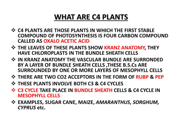 C4 CYCLE.pptx | Biological Sciences | Science