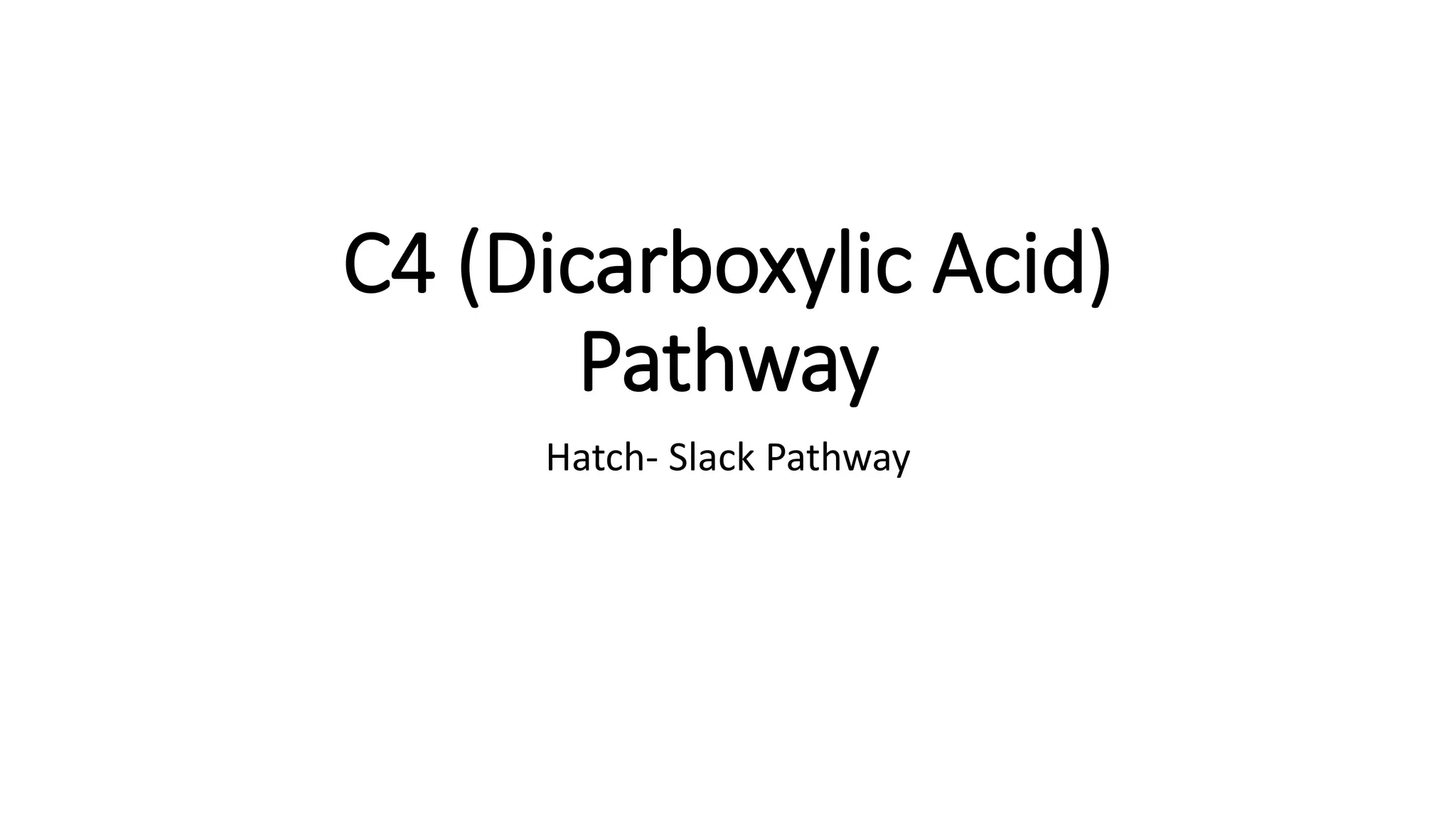 C4 (dicarboxylic acid) pathway | PPT