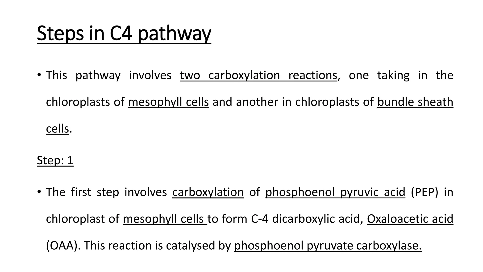 C4 (dicarboxylic acid) pathway | PPTX