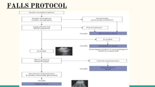trans thoracic ultrasound of chest | PPT