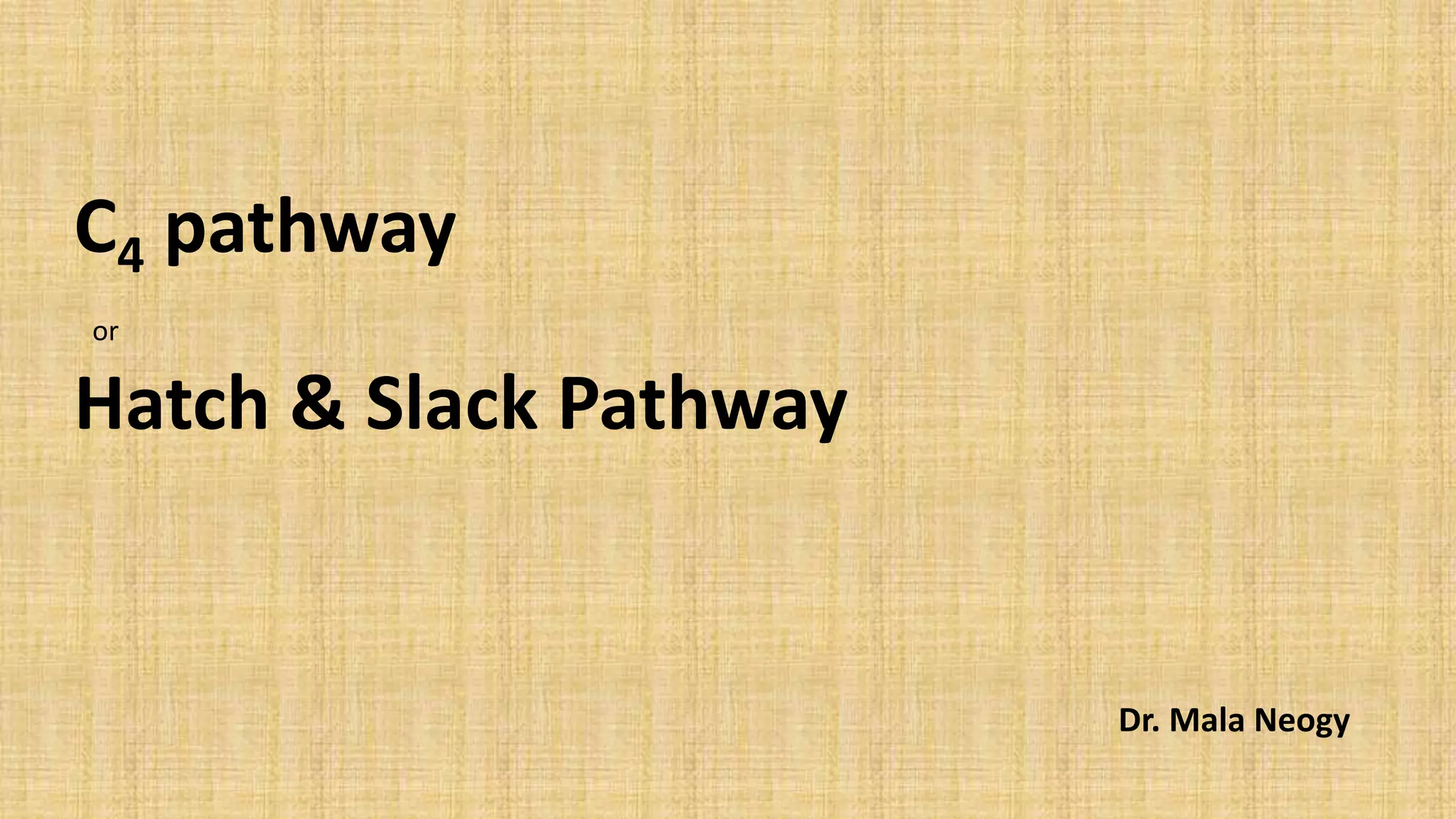 C4 pathway or Hatch and Slack pathway | PPTX