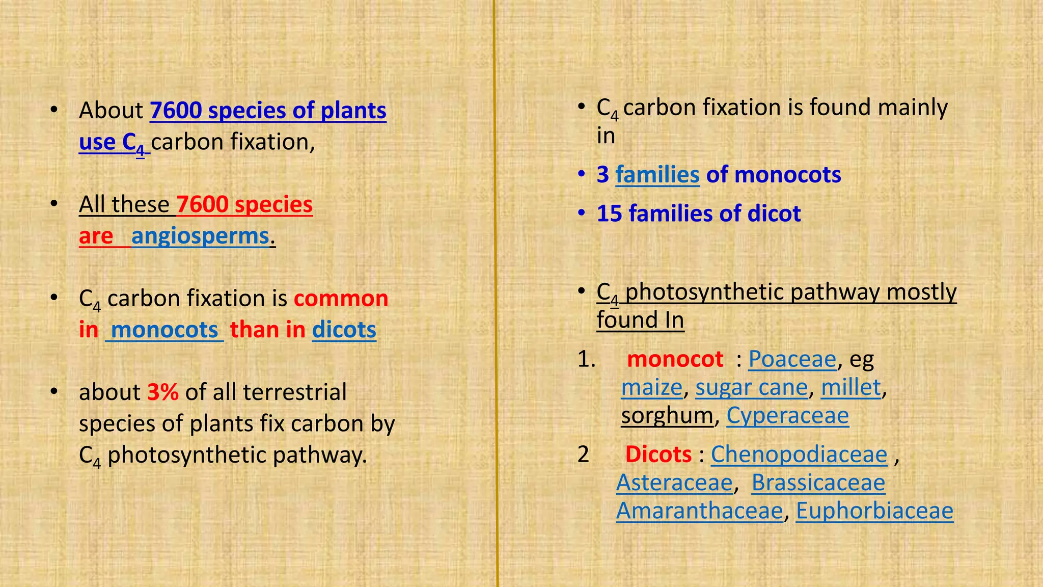 C4 pathway or Hatch and Slack pathway | PPTX