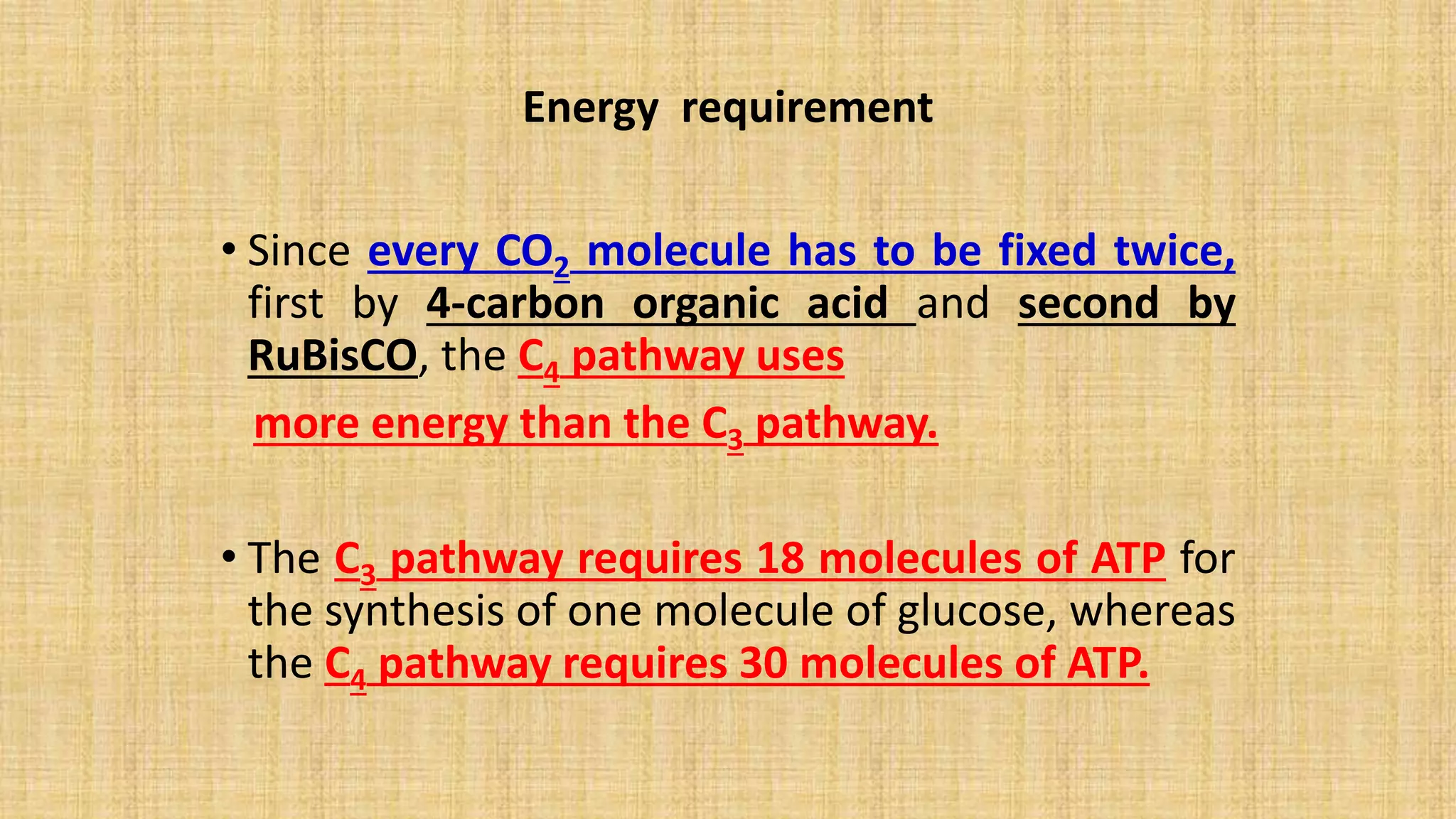 C4 pathway or Hatch and Slack pathway | PPTX