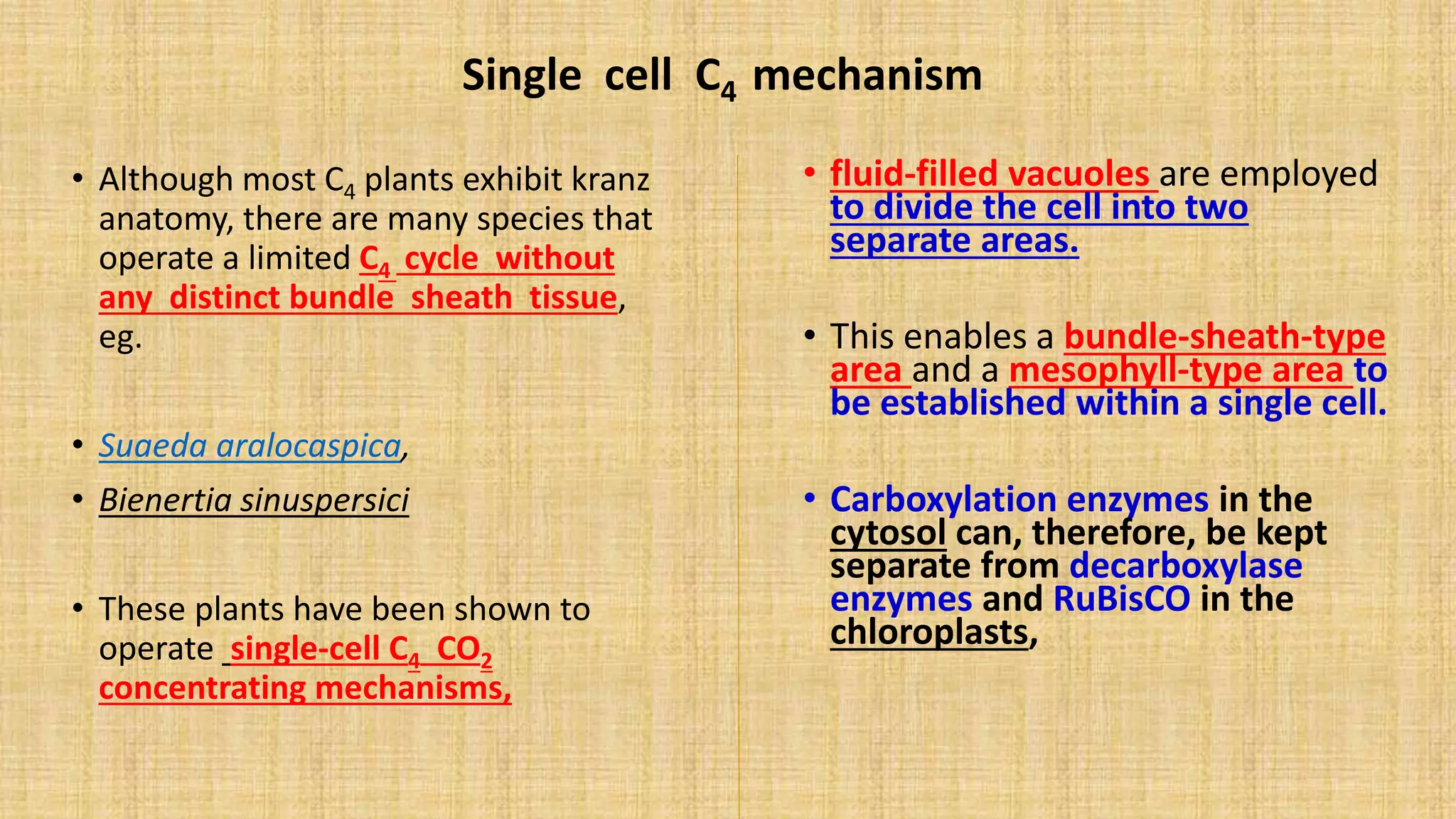 C4 pathway or Hatch and Slack pathway | PPTX