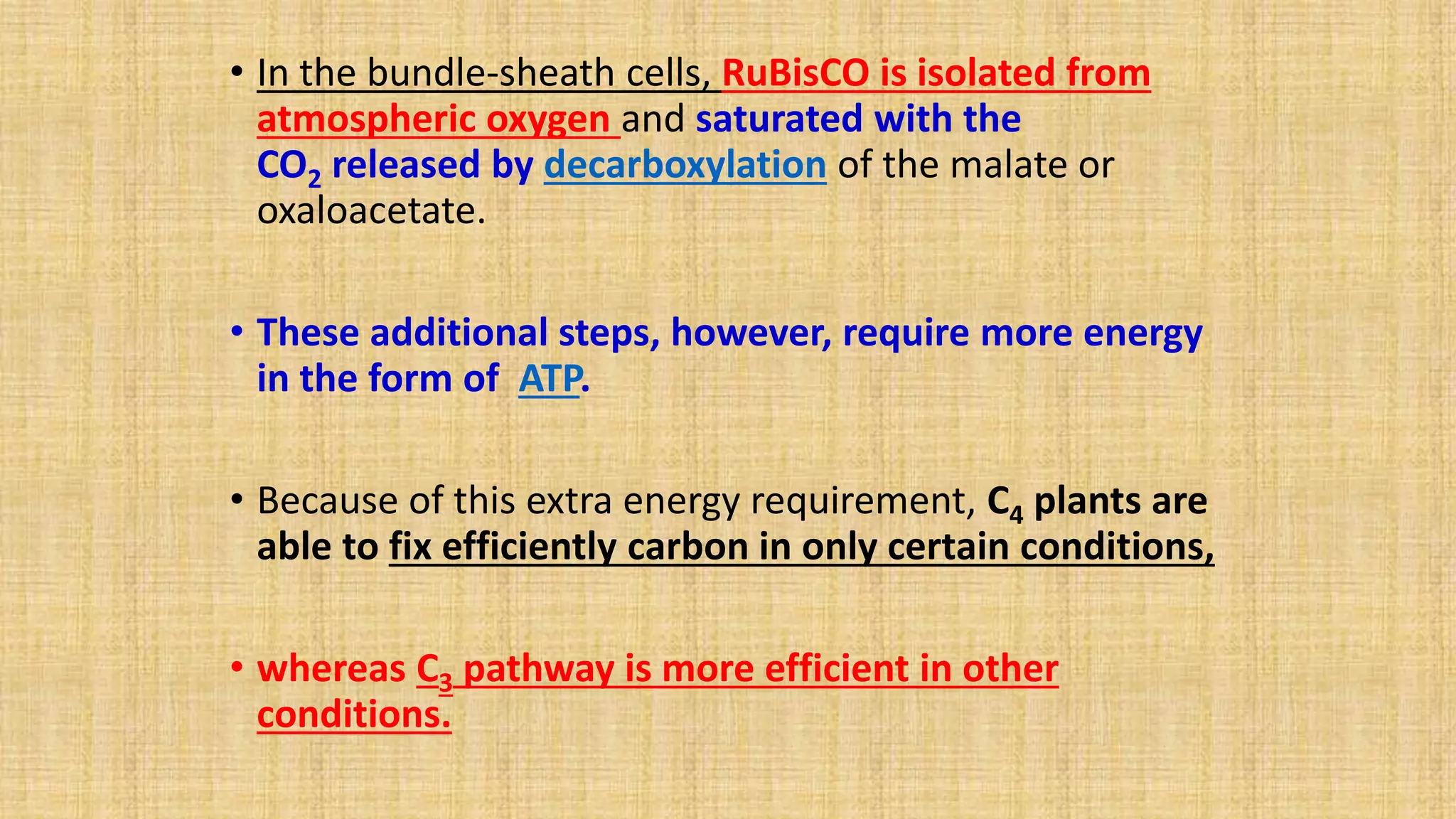 C4 pathway or Hatch and Slack pathway | PPTX