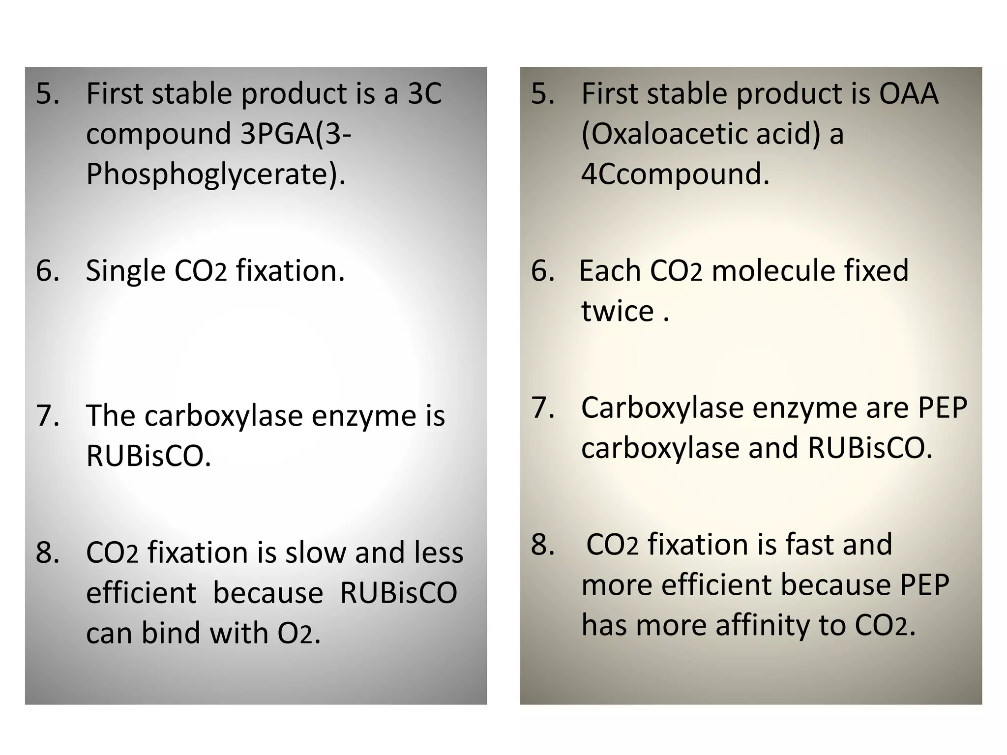 C4 pathway | PPTX