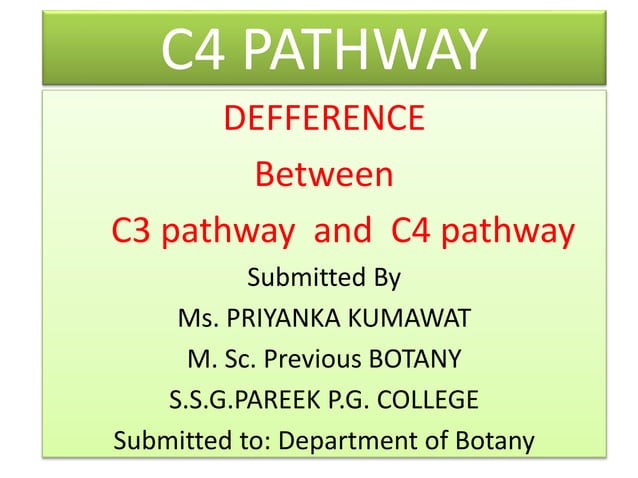 C4 pathway | PPTX | Biological Sciences | Science