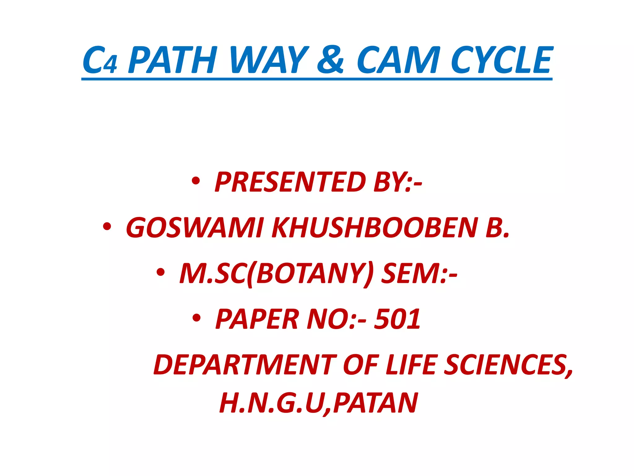 C4 path way & cam cycle | PPTX