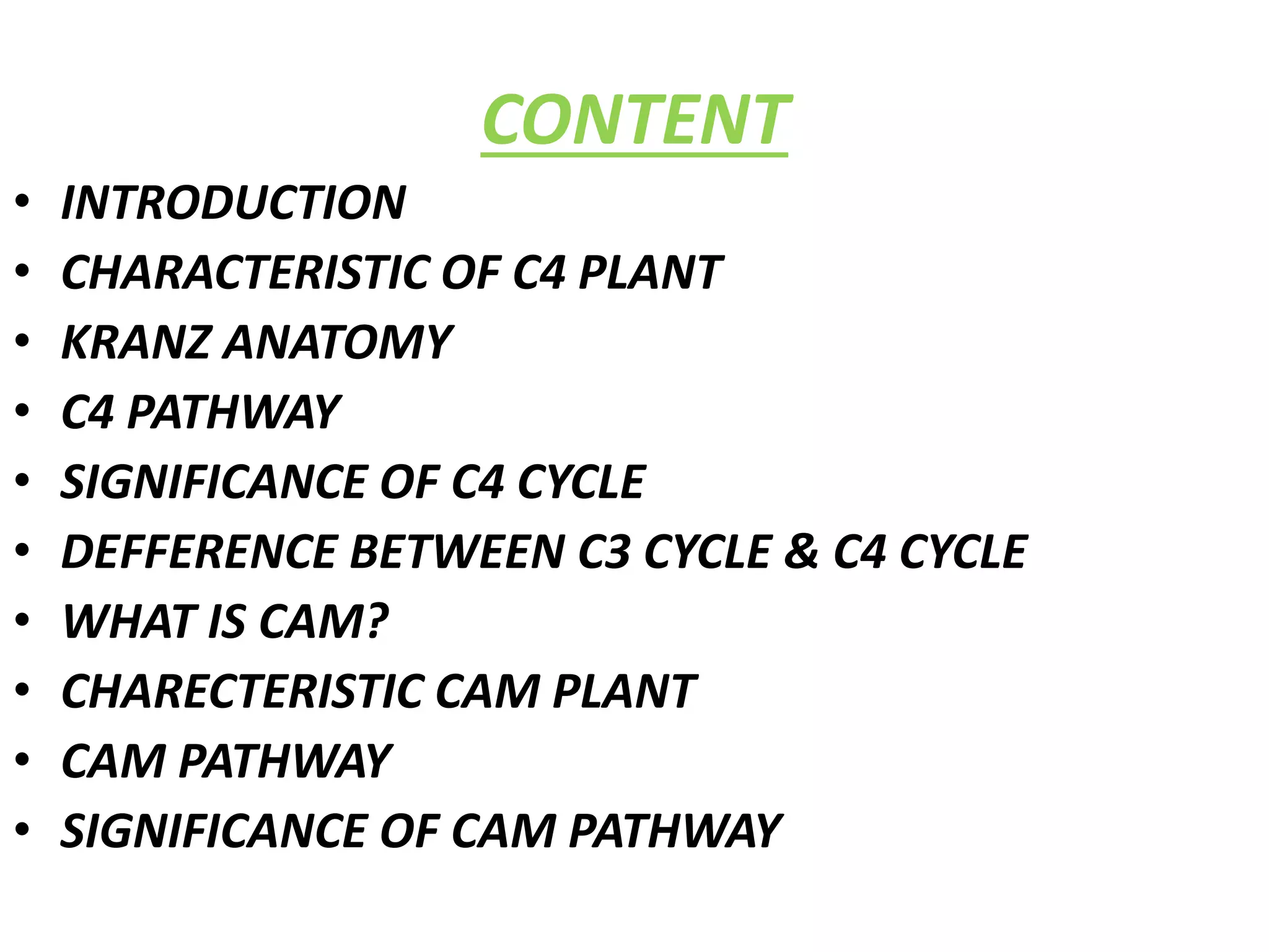C4 path way & cam cycle | PPTX