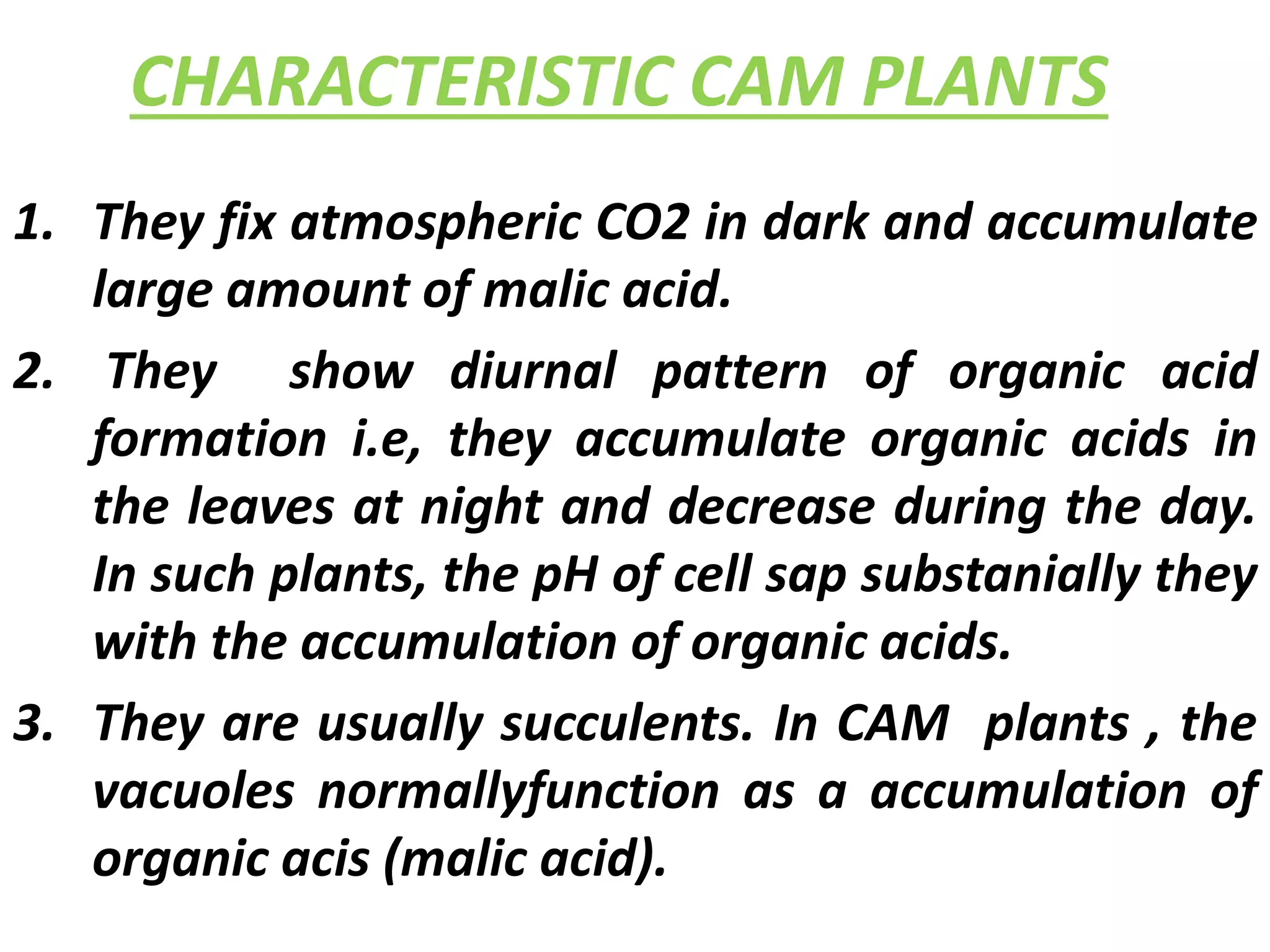 C4 path way & cam cycle | PPTX