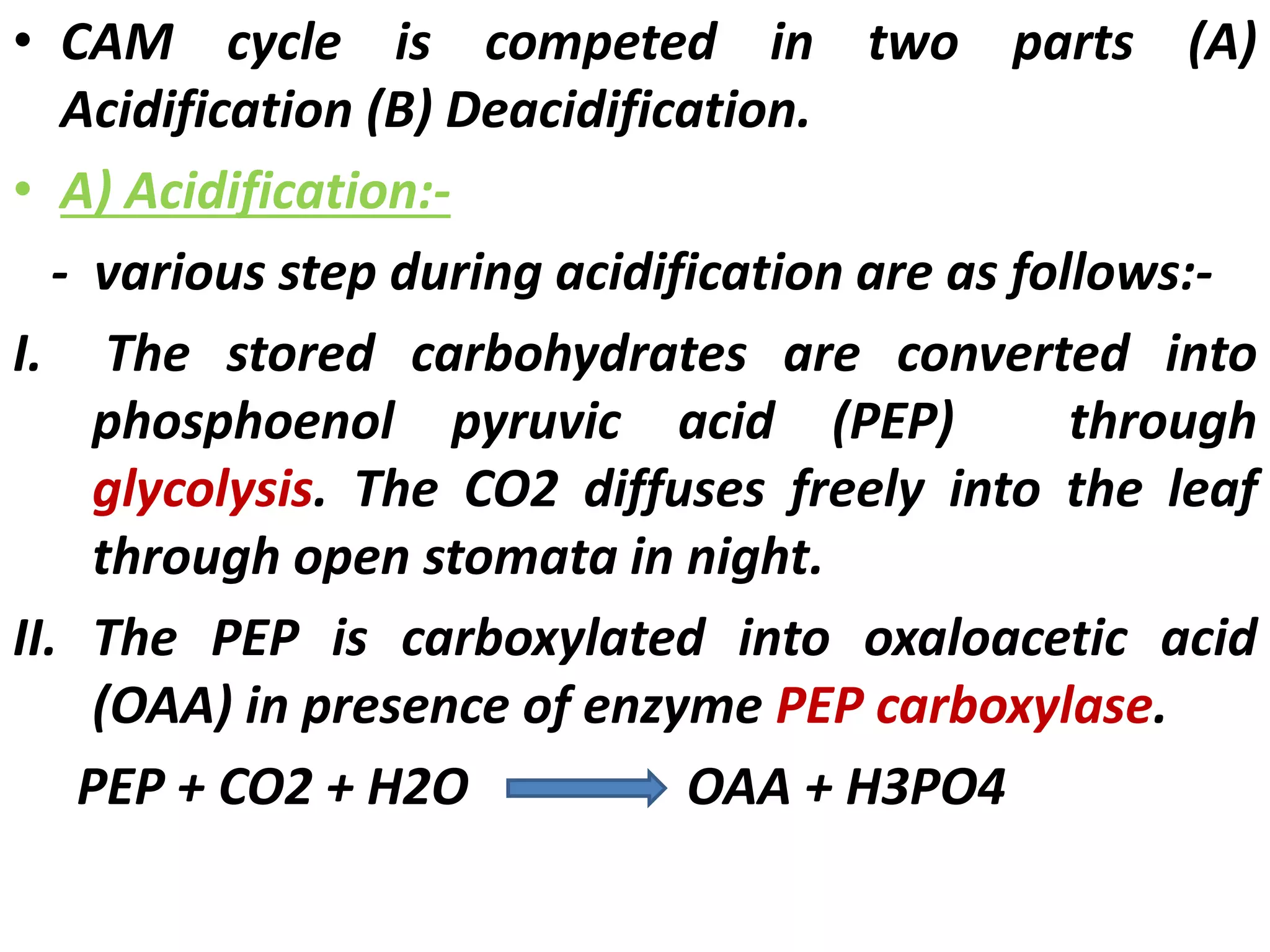 C4 path way & cam cycle | PPTX