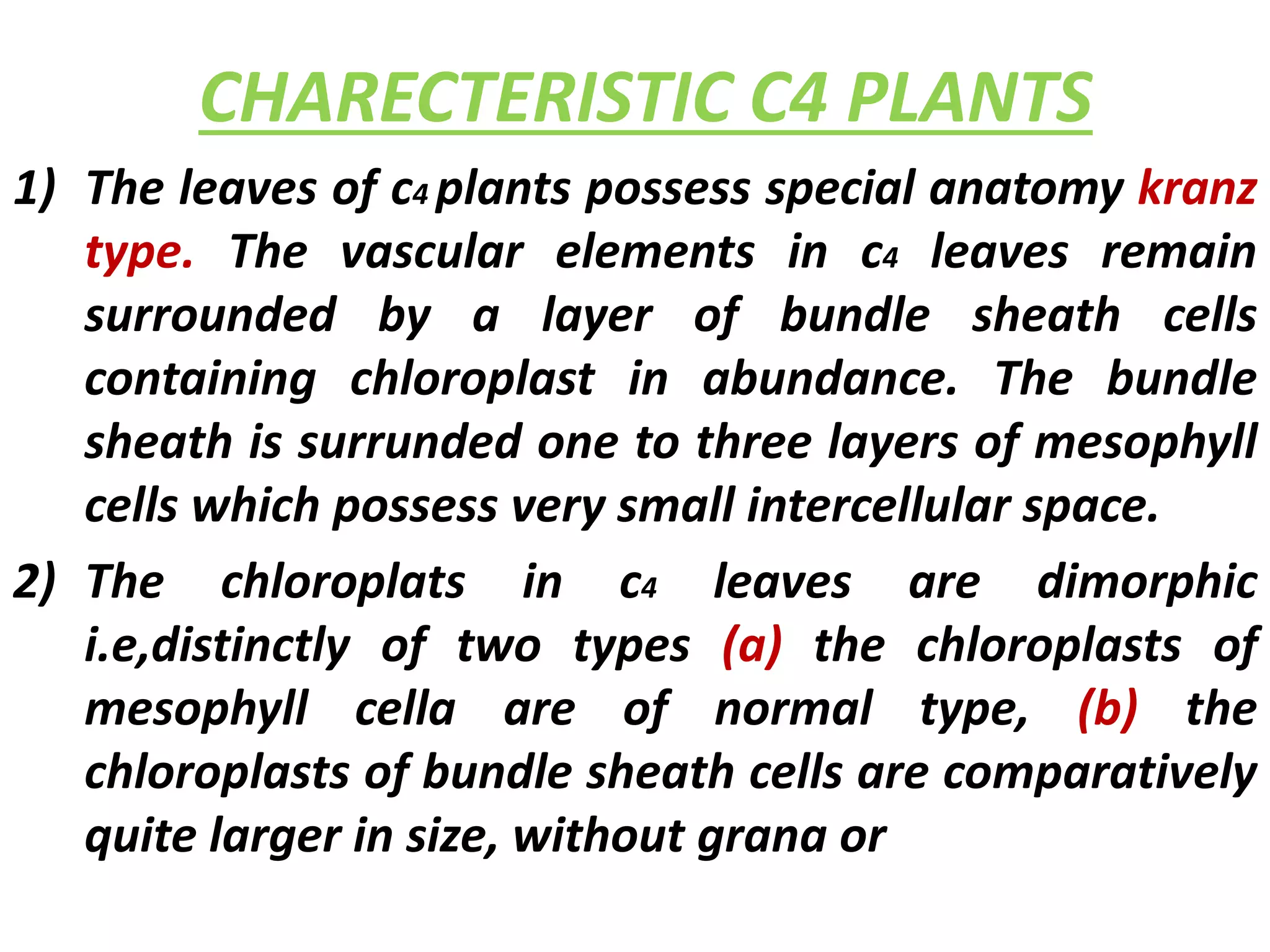 C4 path way & cam cycle | PPTX