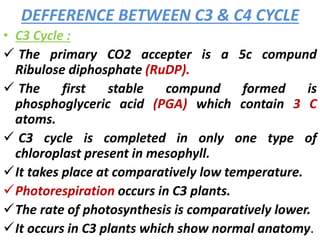 C4 path way & cam cycle | PPTX