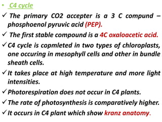 C4 path way & cam cycle | PPTX
