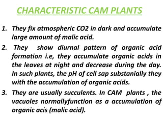 C4 path way & cam cycle | PPTX