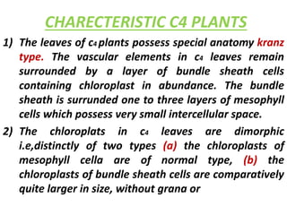 C4 path way & cam cycle | PPTX