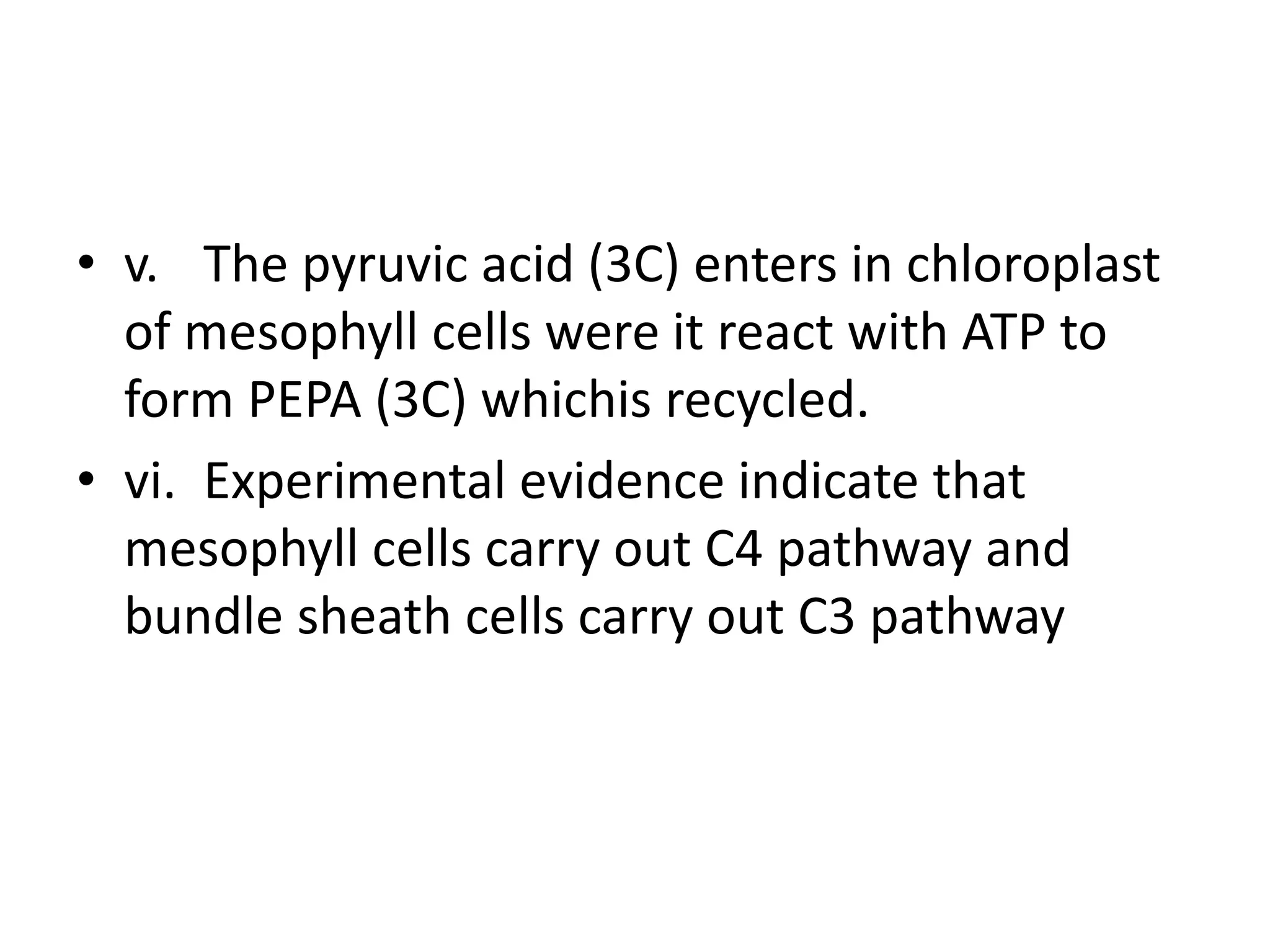 C4 pathway, cam photorespiration | PPTX