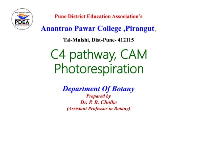 C4 pathway, cam photorespiration | PPTX | Biological Sciences | Science
