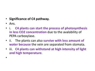 C4 pathway, cam photorespiration | PPTX