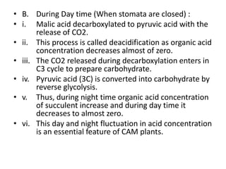 C4 pathway, cam photorespiration | PPTX