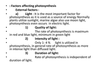 C4 pathway, cam photorespiration | PPTX