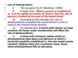 C4 pathway, cam photorespiration | PPTX