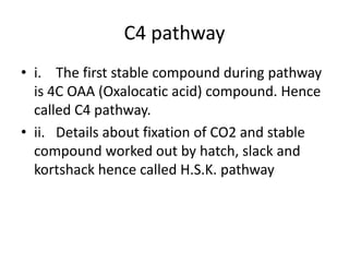C4 pathway, cam photorespiration | PPTX