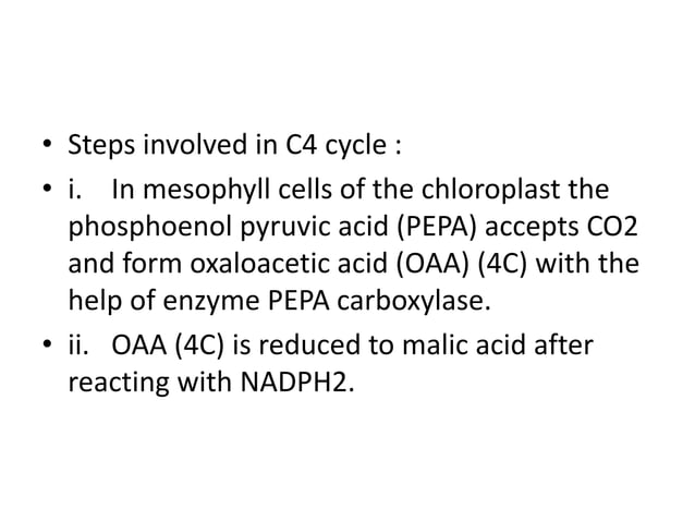 C4 pathway, cam photorespiration | PPTX | Biological Sciences | Science