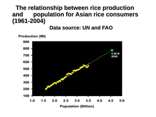 C4 rice my first presentation | PPT