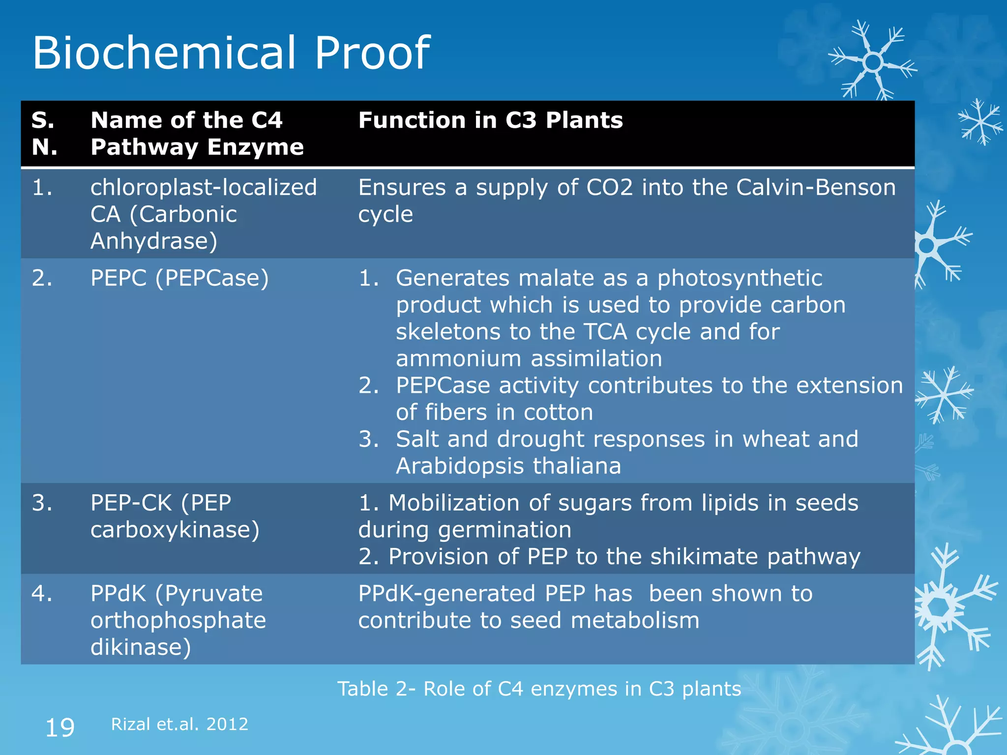 C4 rice - Tweaking Rice Physiology for Second green revolution | PPTX