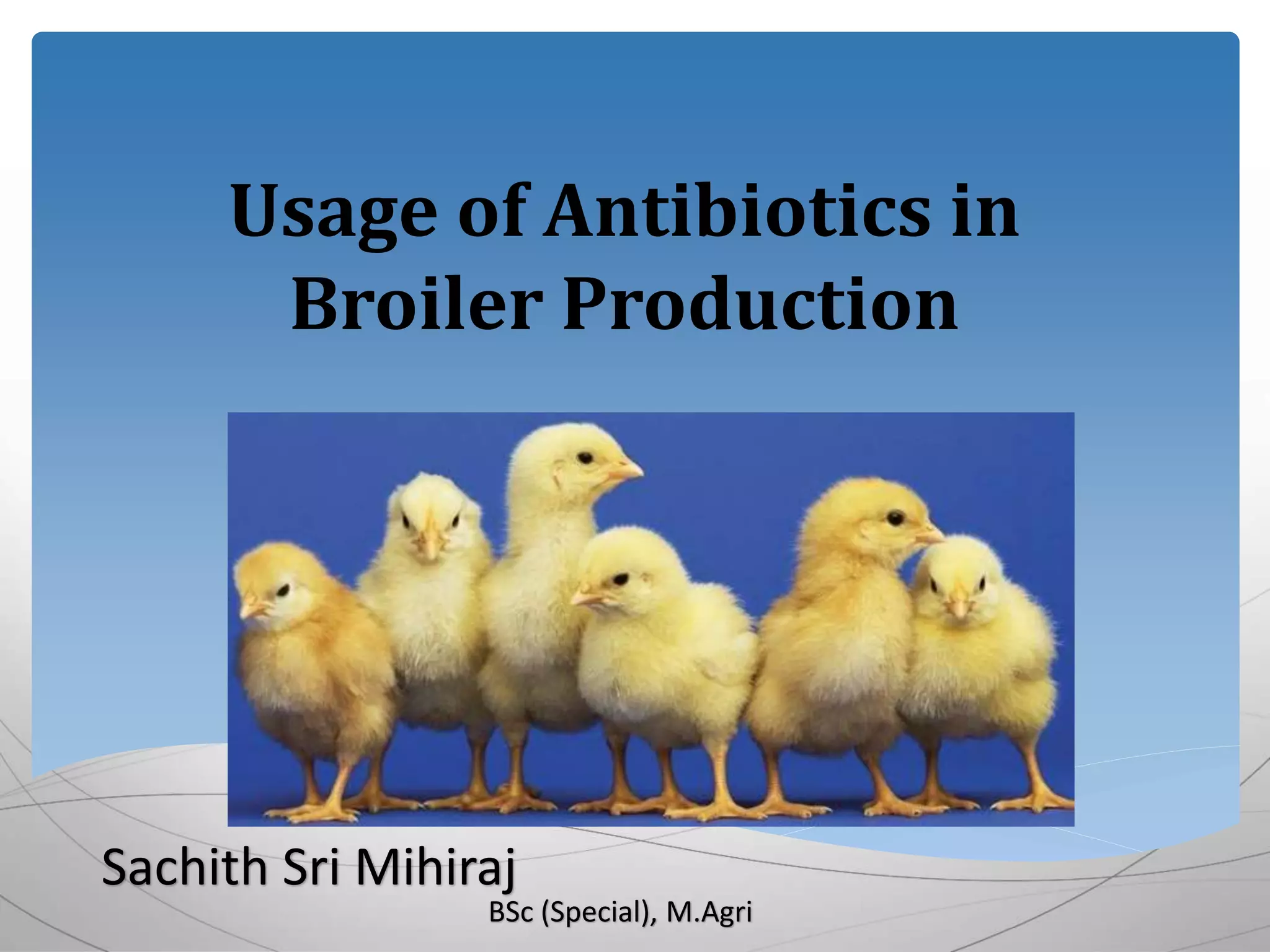 Usage of Antibiotics in broiler production | PPTX