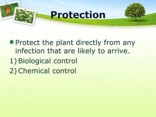 plant disease control | PDF