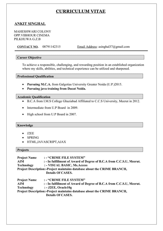 ankit cv | PDF