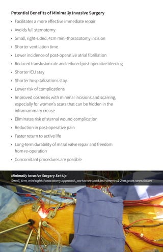 mini-mitral-br-v11 | PDF | Heart and Cardiovascular Diseases | Diseases ...