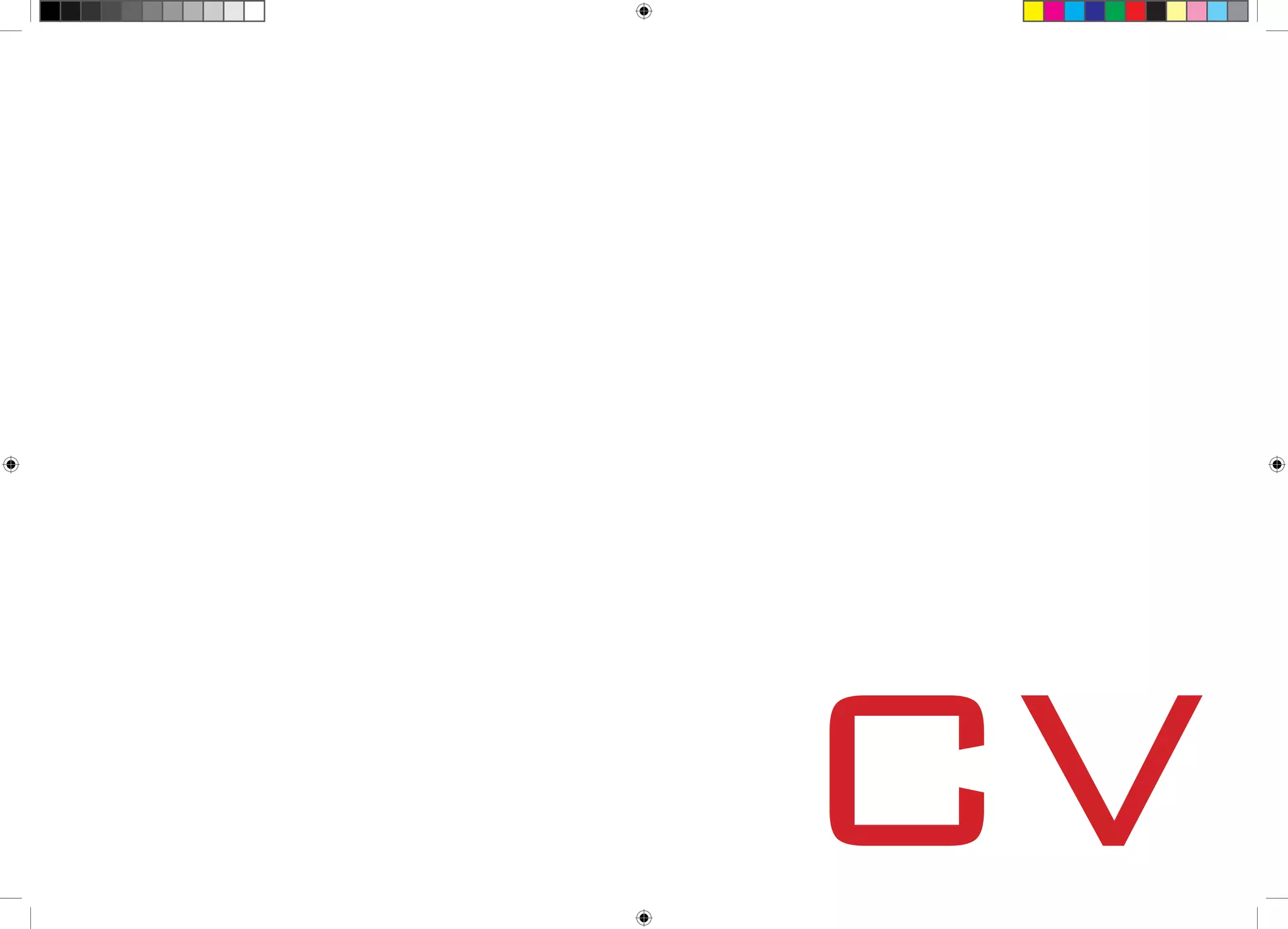 lynn panné - CV - ver.2015