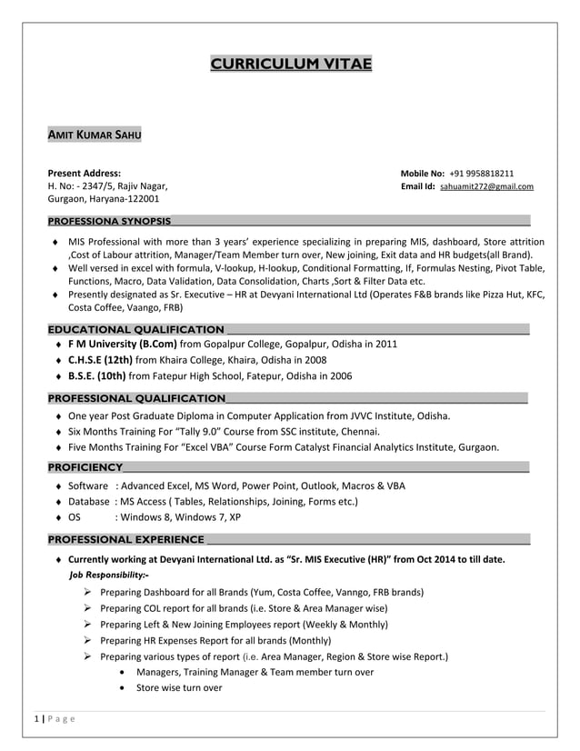 Mis Resume | DOC | Human Resources | Business