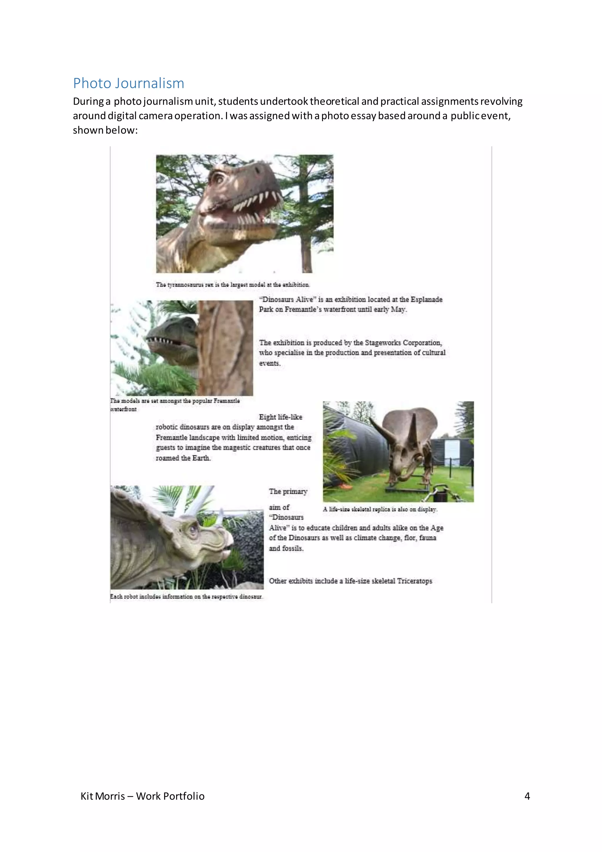 Kit Morris - Portfolio | PDF