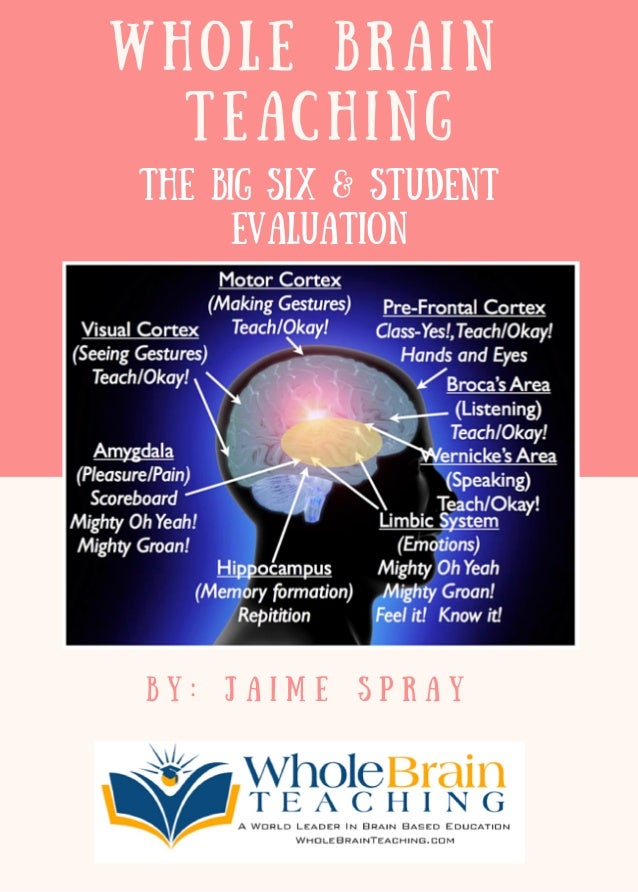 Whole Brain Teaching