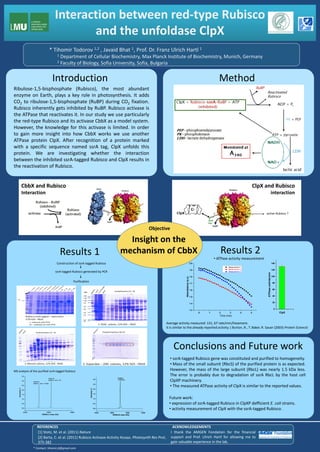 ++Tihomir+Todorov_Interaction+between+red-type+Rubisco+and+the+unfoldase+ClpX | PDF | Chemistry ...