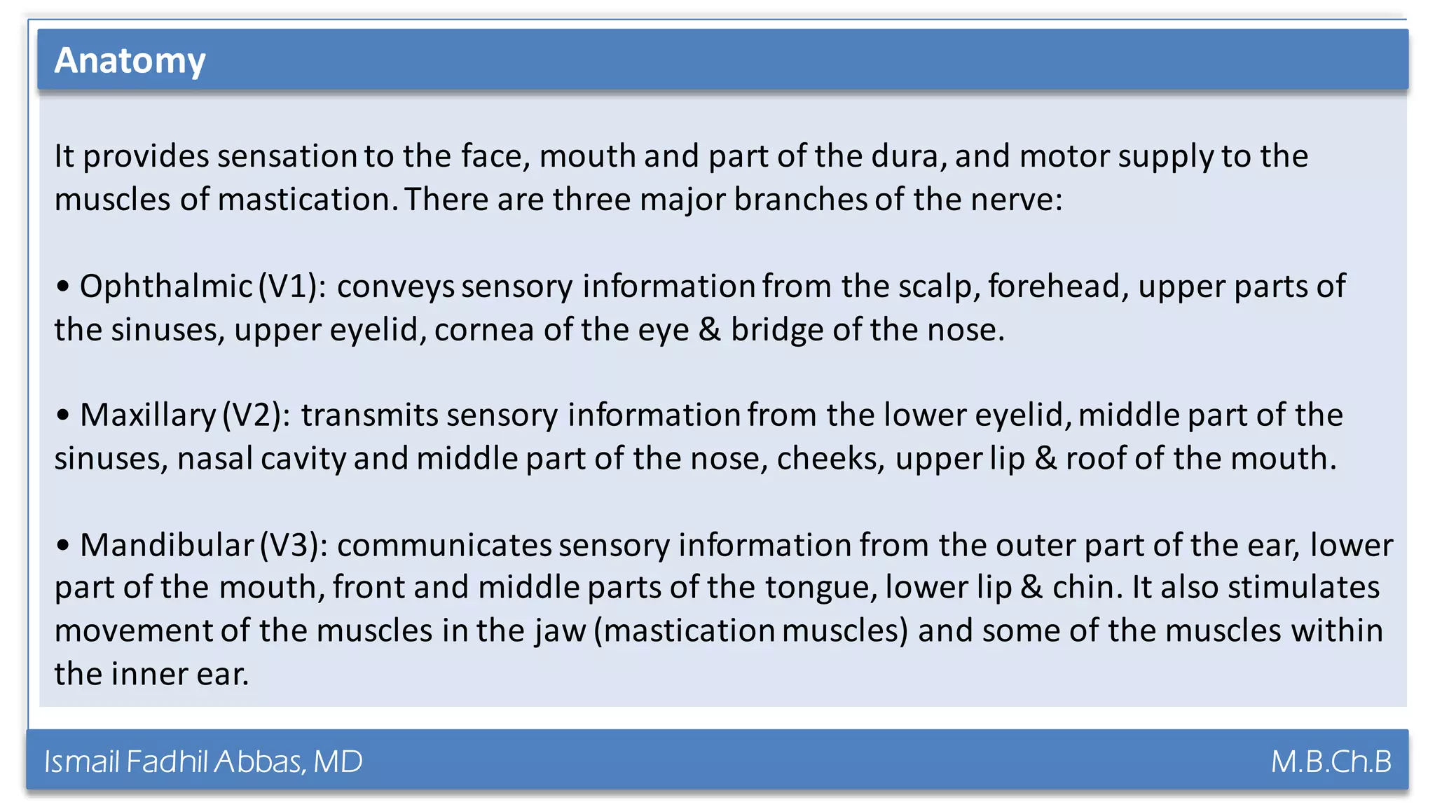 Trigeminal & Facial Nerve Clinically | PDF