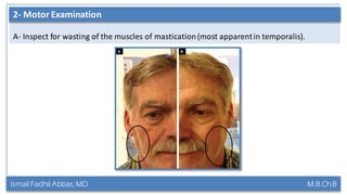 Trigeminal & Facial Nerve Clinically | PPT