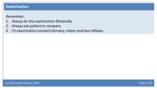 Trigeminal & Facial Nerve Clinically | PPT