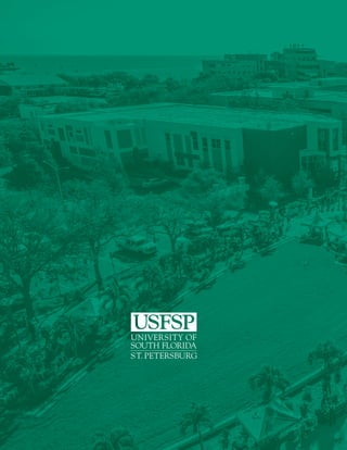 USFSP Vision 20:20 Strategic Plan | PDF