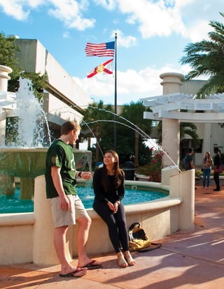 USFSP Vision 20:20 Strategic Plan | PDF