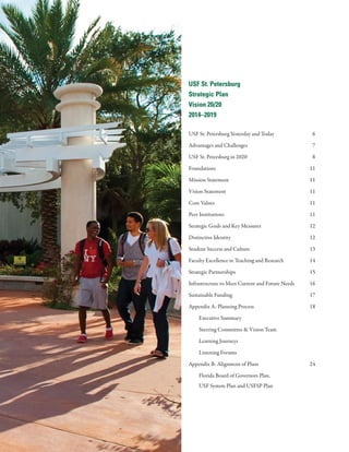 USFSP Vision 20:20 Strategic Plan | PDF