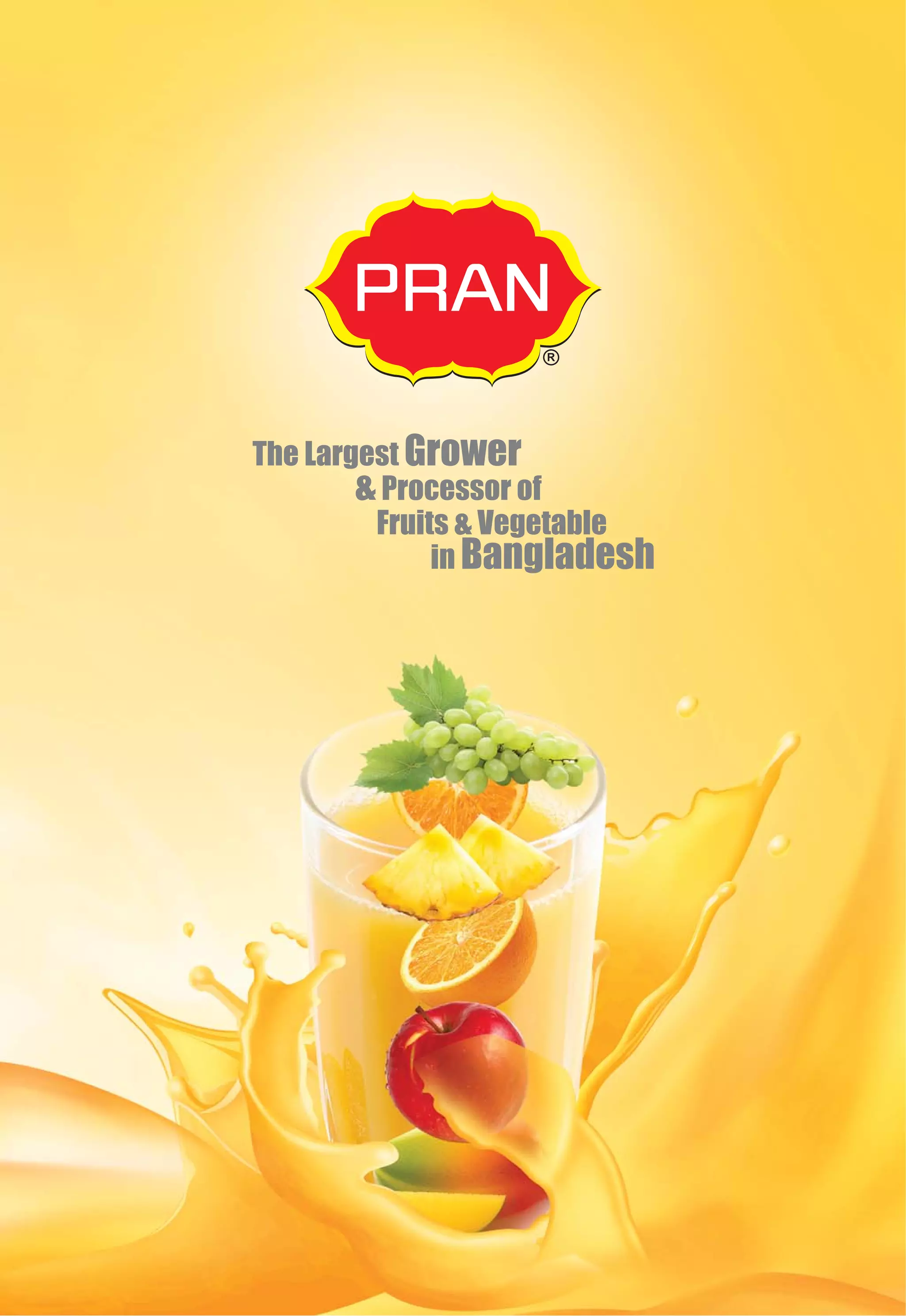 PRAN_Product Mix | PDF
